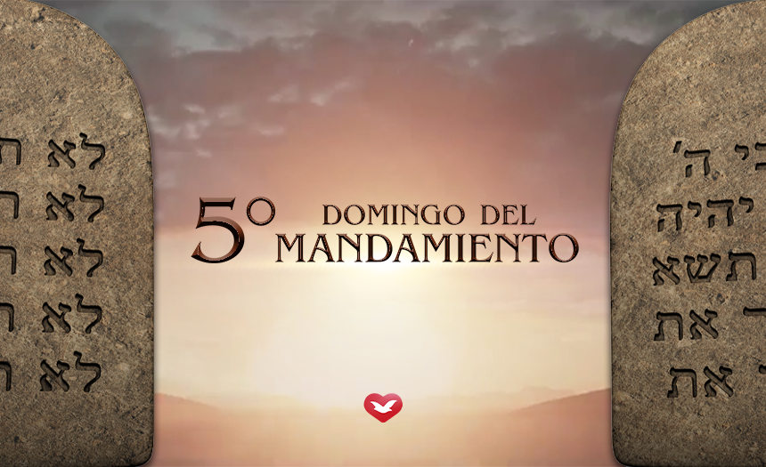 Domingo 14 de mayo: El Domingo del 5° Mandamiento - Universal México ...