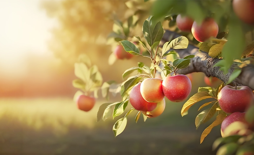 El fruto de la eternidad - Universal México - Universal México