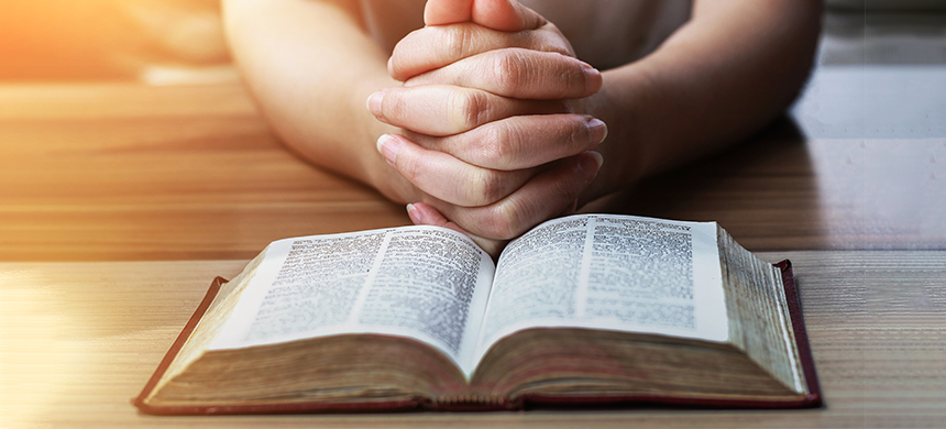 Encontrar la sabiduría - Universal México - Universal México